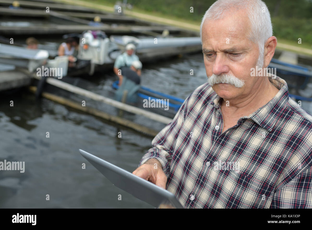 man checking tablet at a fishfarm Stock Photo - Alamy