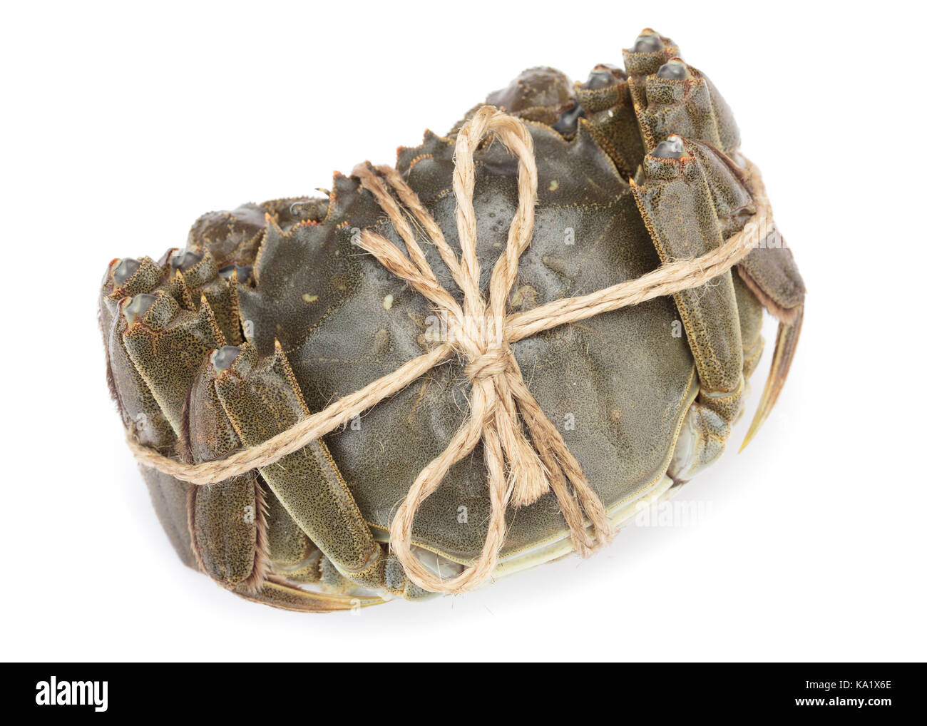 Perfect Crab isolated on white background Stock Photo - Alamy