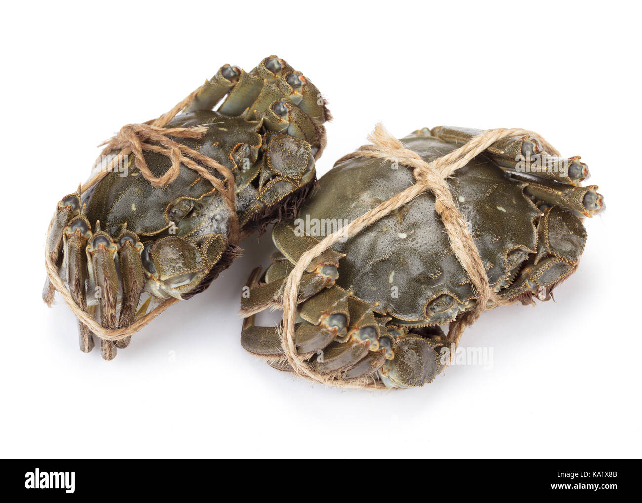 Perfect Crab isolated on white background Stock Photo - Alamy