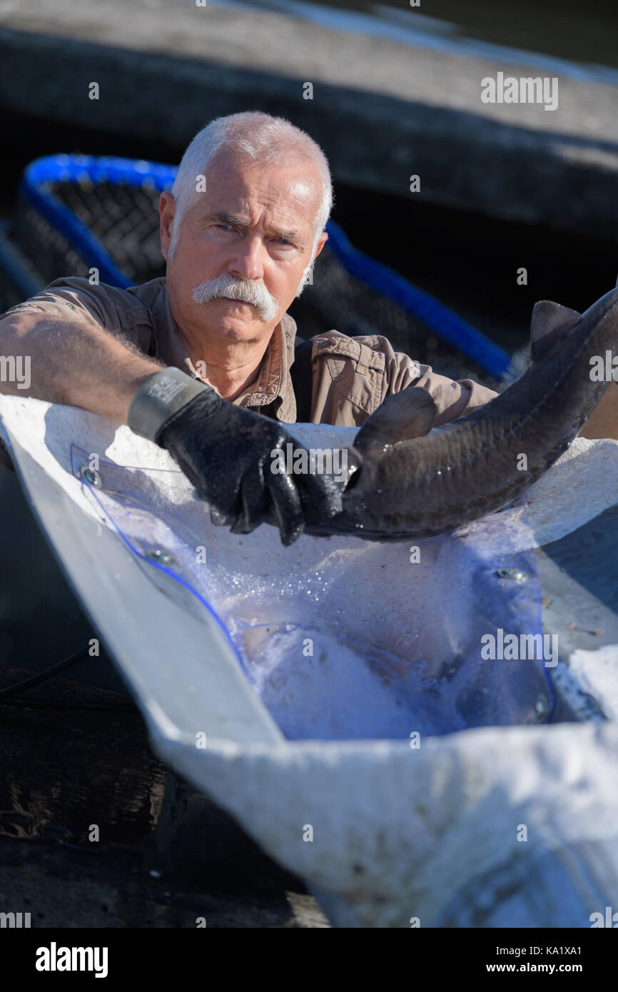 fisherman catches a fish Stock Photo - Alamy