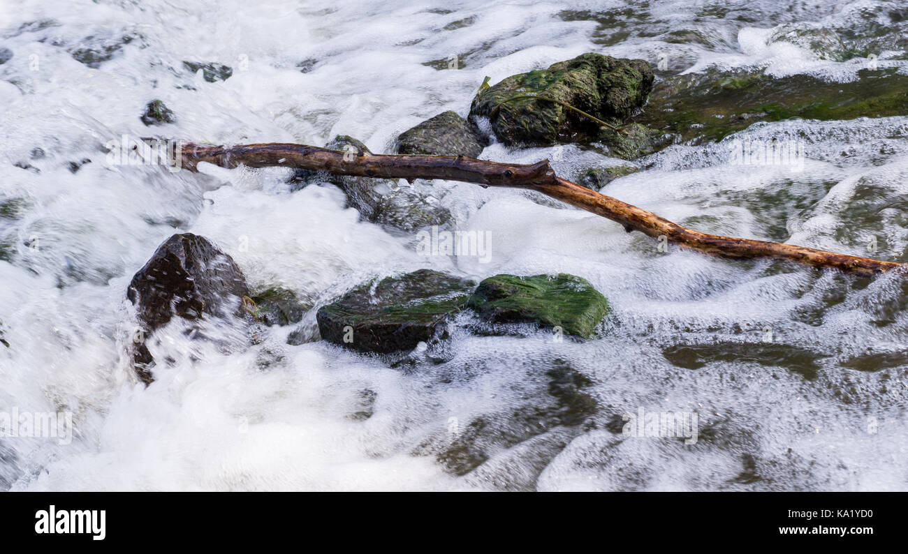 tree branch on rocks in stream, small waterfall. background, nature ...