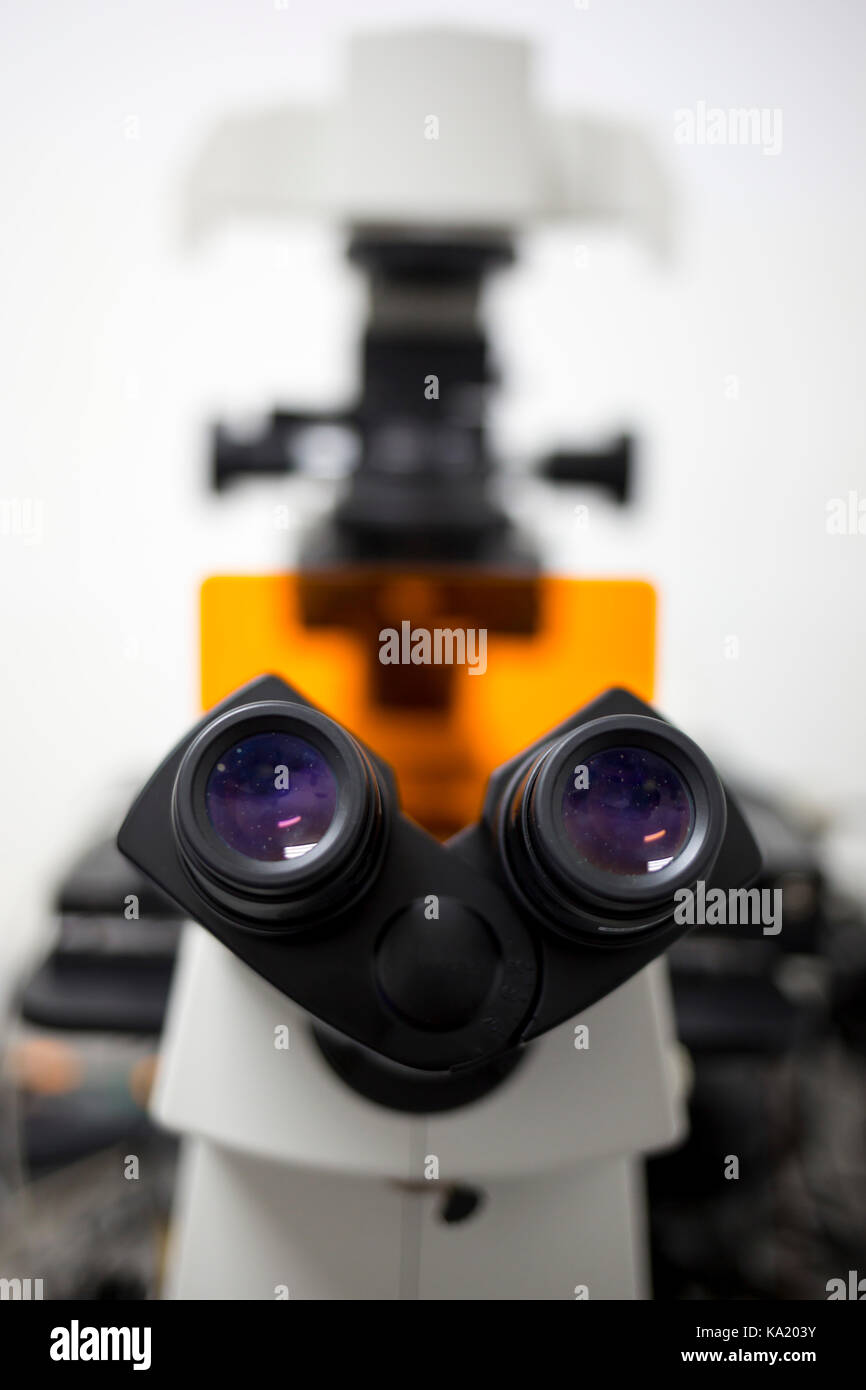 Modern microscope equipment in a microbiology research laboratory. New ...