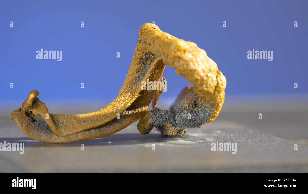 Pharaoh's Snake. Chemical reaction with fire. Beautiful and terrifying ...