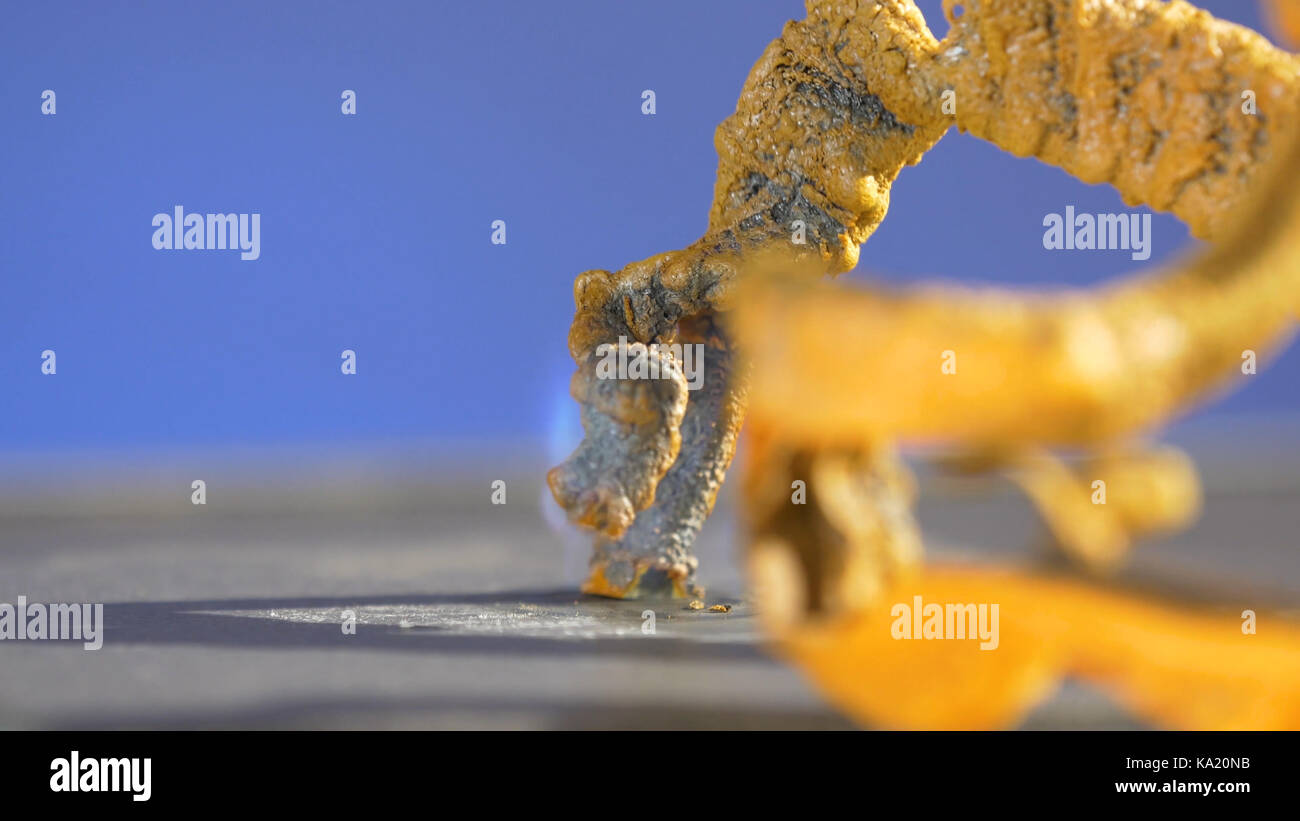 Pharaoh's Snake. Chemical reaction with fire. Beautiful and terrifying ...