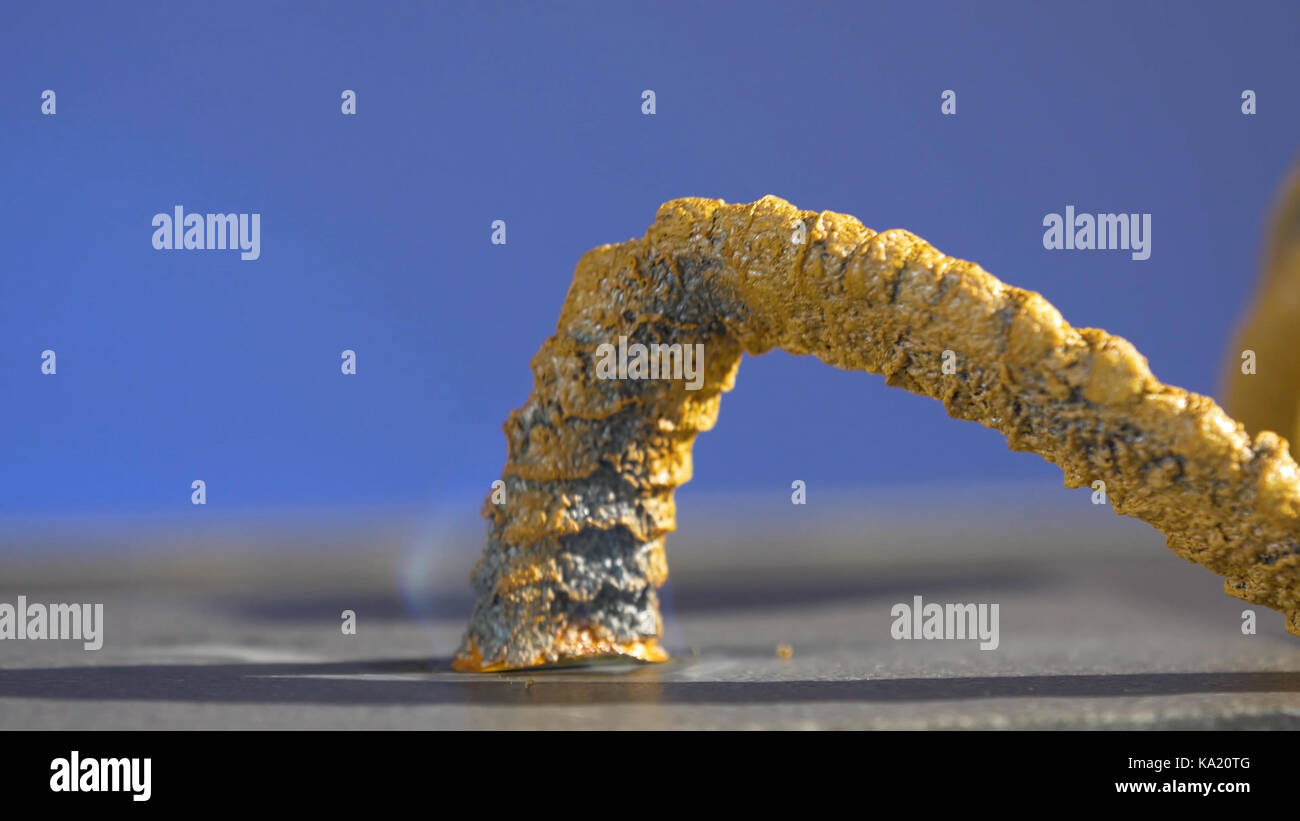 Pharaohs snake hi-res stock photography and images - Alamy