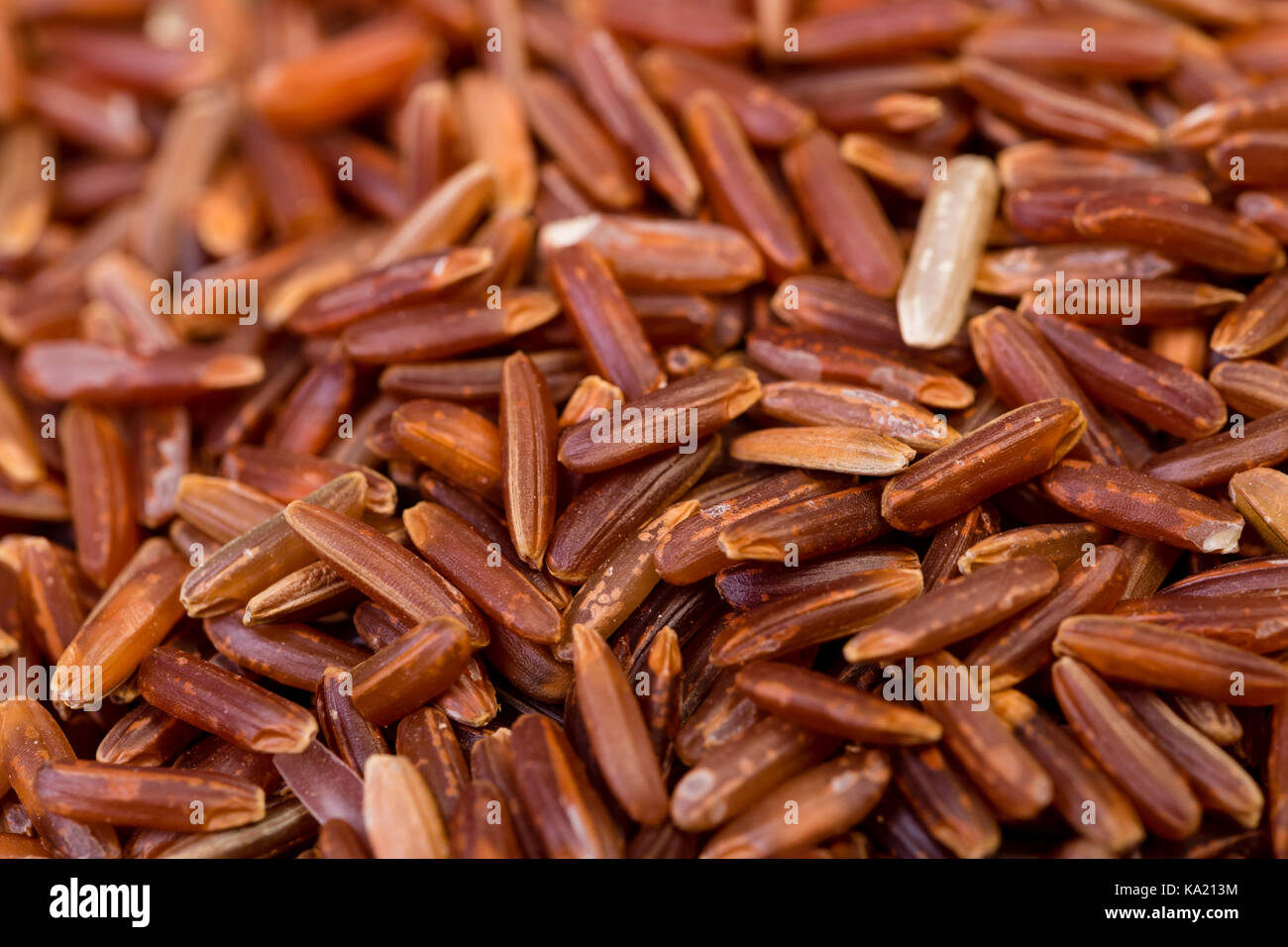 Red rice studio hi-res stock photography and images - Alamy