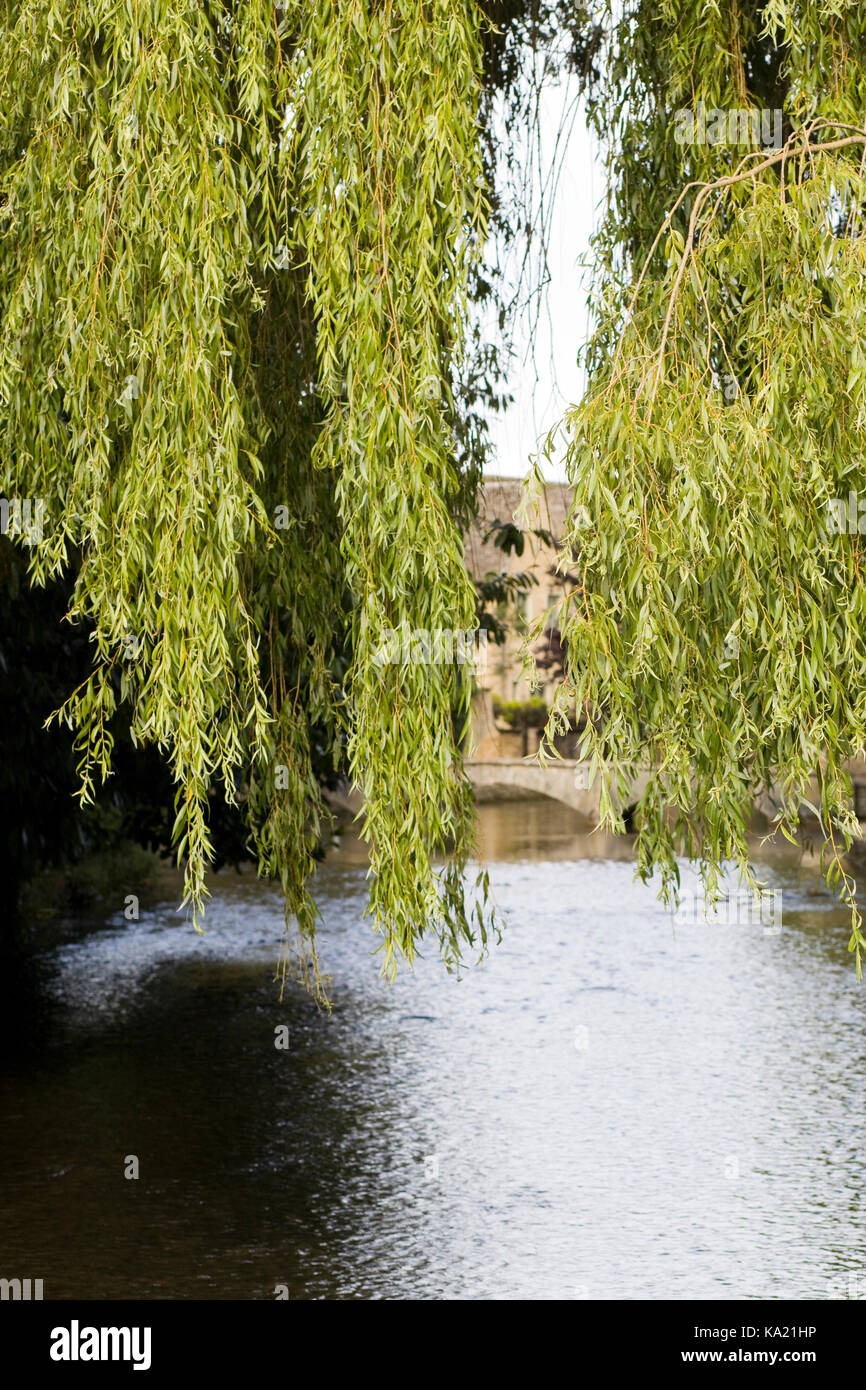 Weeping eye hi-res stock photography and images - Alamy