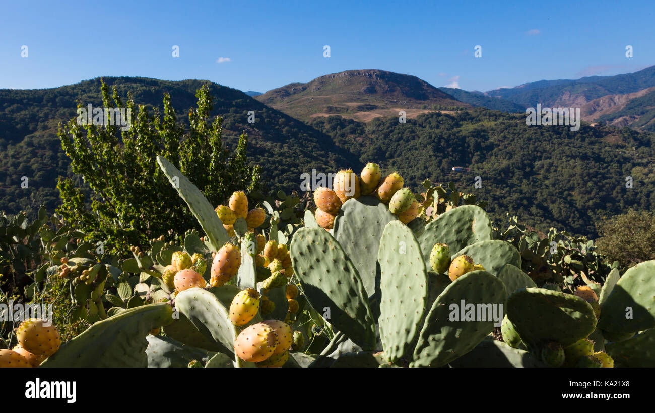 Tripi (Messina, Italy) - Landscape Stock Photo - Alamy