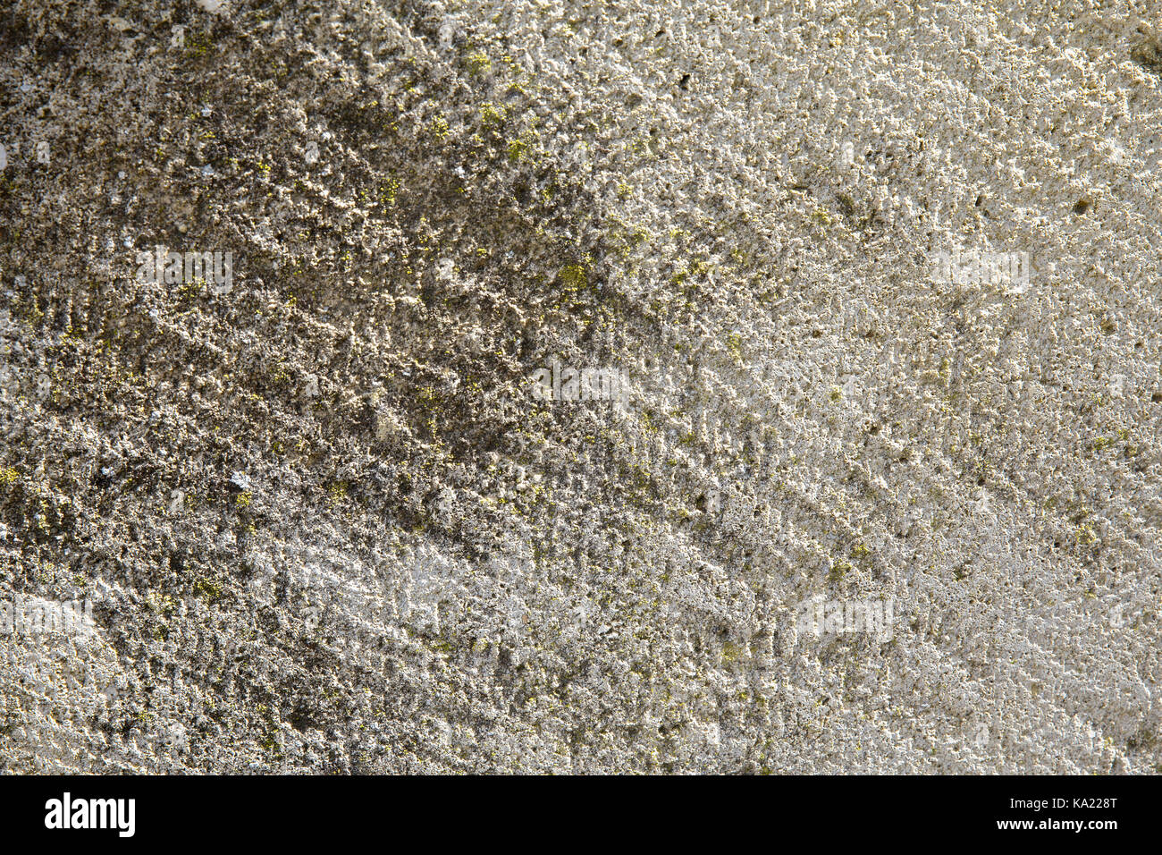 Moss concrete hi-res stock photography and images - Alamy
