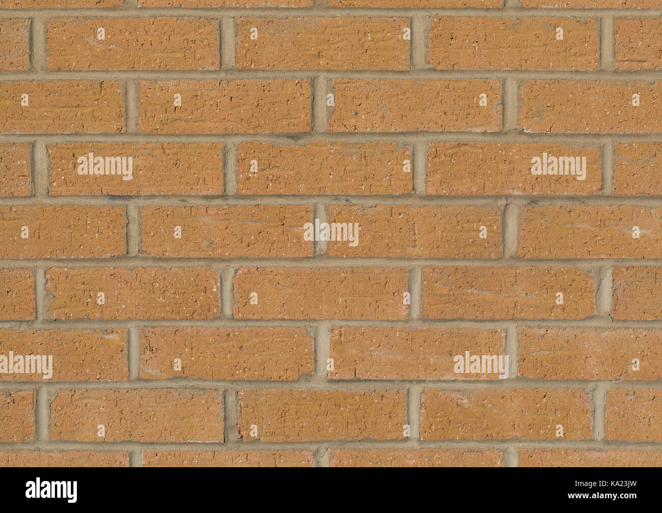 Ground level back view hi-res stock photography and images - Alamy