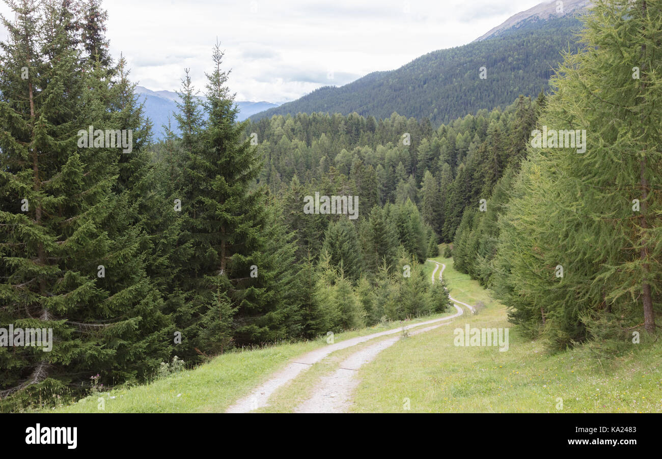 View of beautiful landscape in the Alps - Austria Stock Photo - Alamy