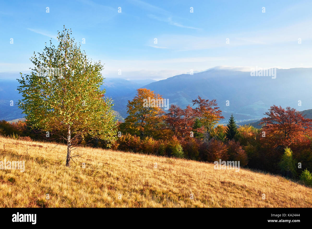 Autumn in mountain, amazing landscape Stock Photo - Alamy