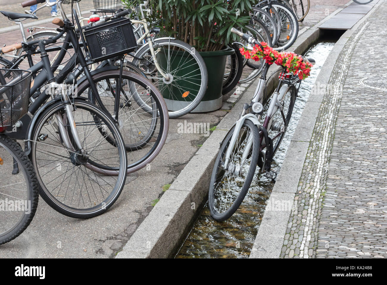 Small water canals in the streets in Freiburg - Germany Stock Photo - Alamy