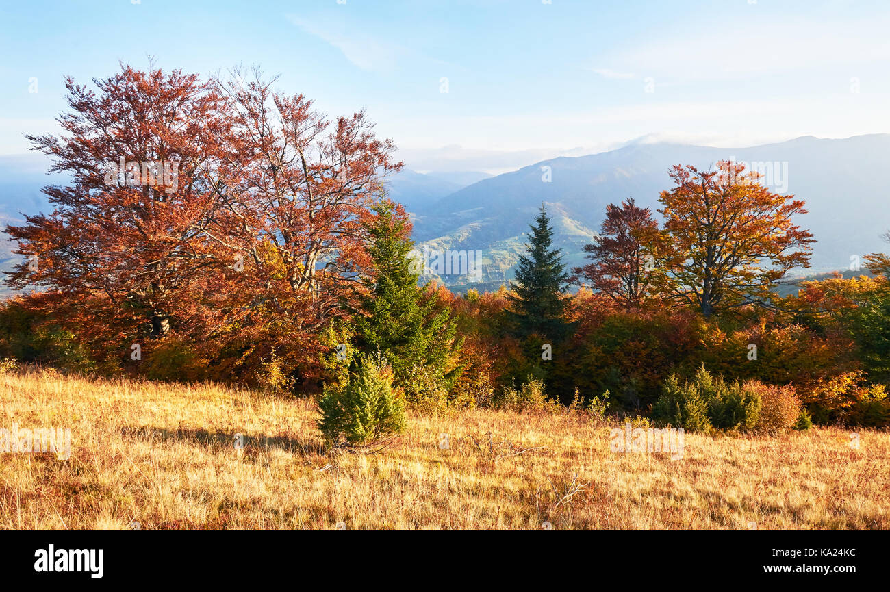 Autumn in mountain, amazing landscape Stock Photo - Alamy