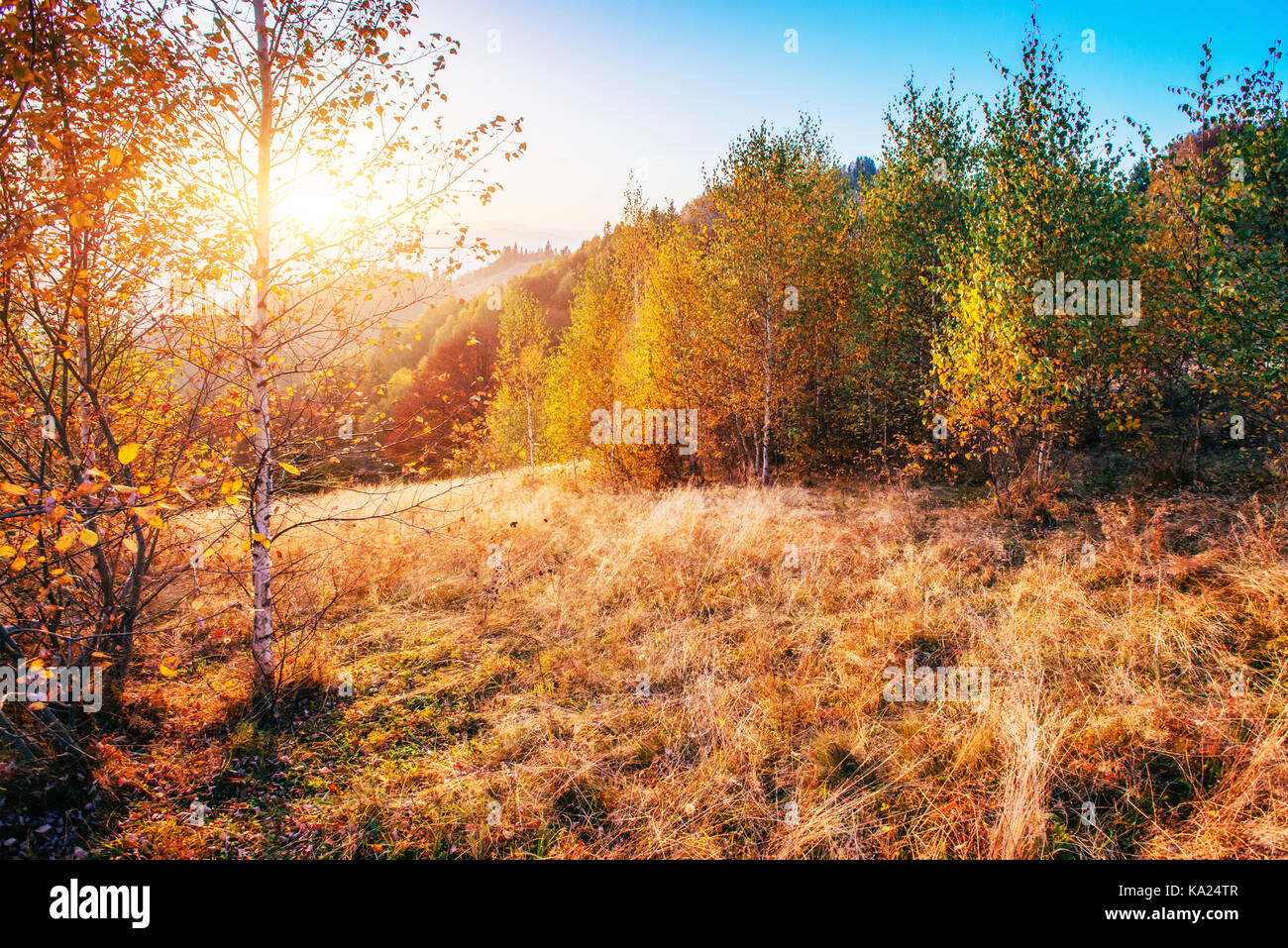Autumn in mountain, amazing landscape Stock Photo - Alamy