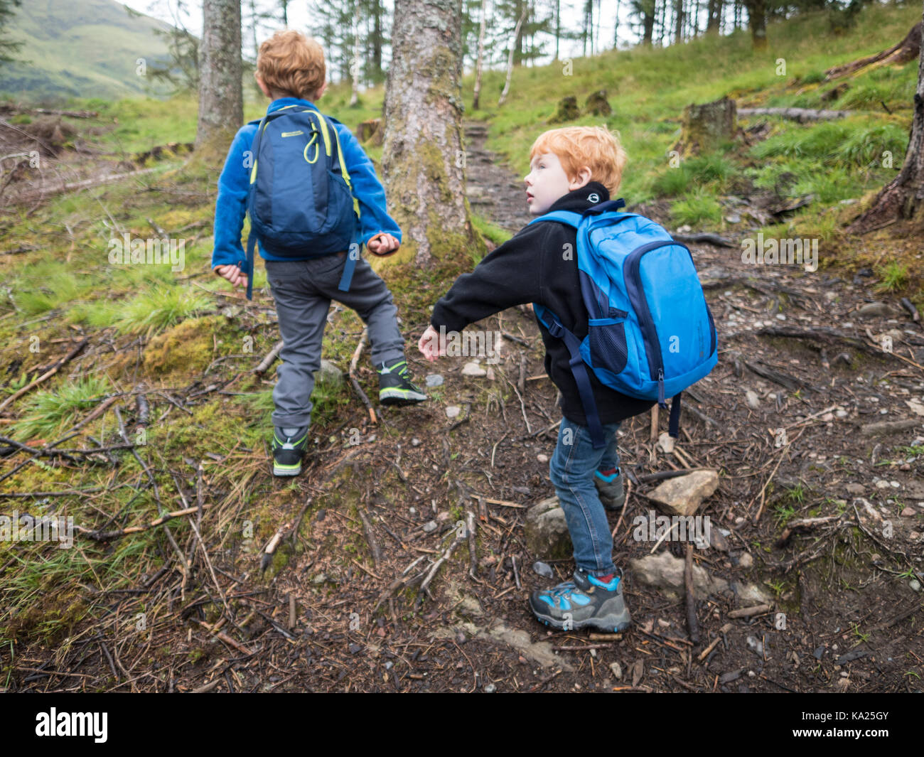 Kids exploring forest hi-res stock photography and images - Alamy