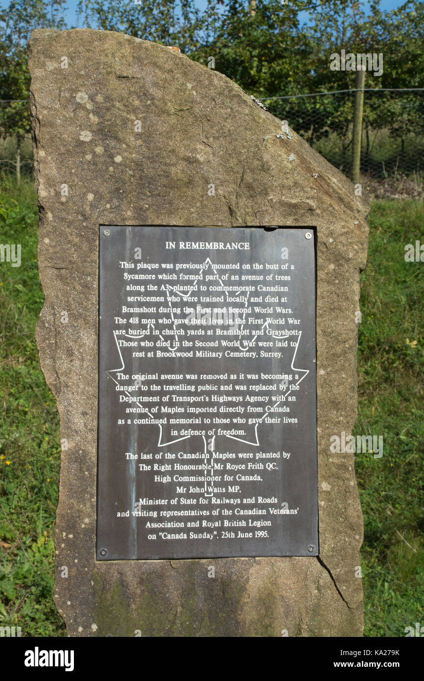 Memorial to Canadian servicemen killed during both world wars at ...