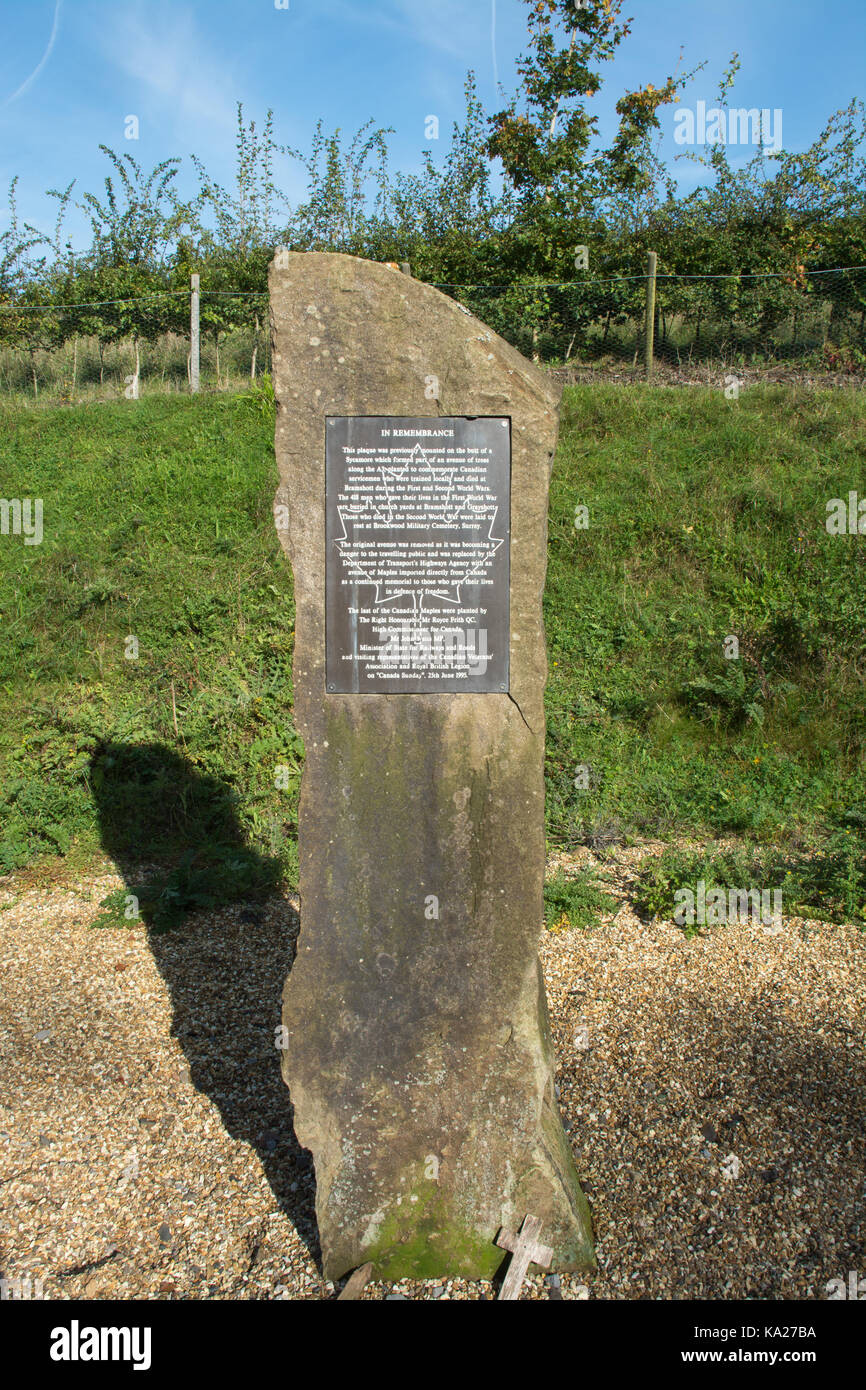 Memorial to Canadian servicemen killed during both world wars at ...