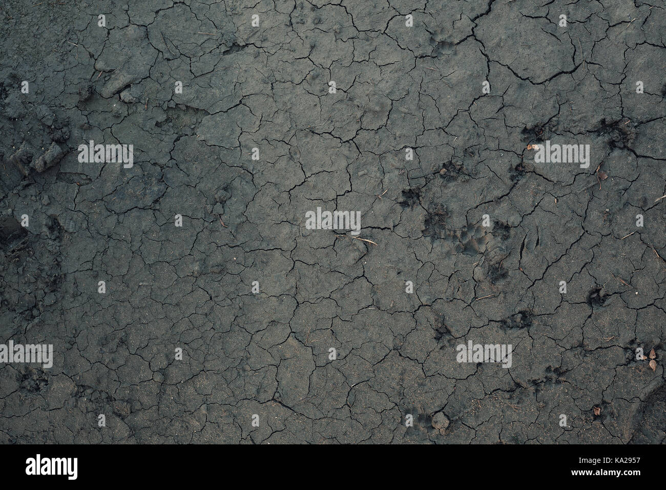 Details of dry mud, closeup view on texture and dirt Stock Photo - Alamy