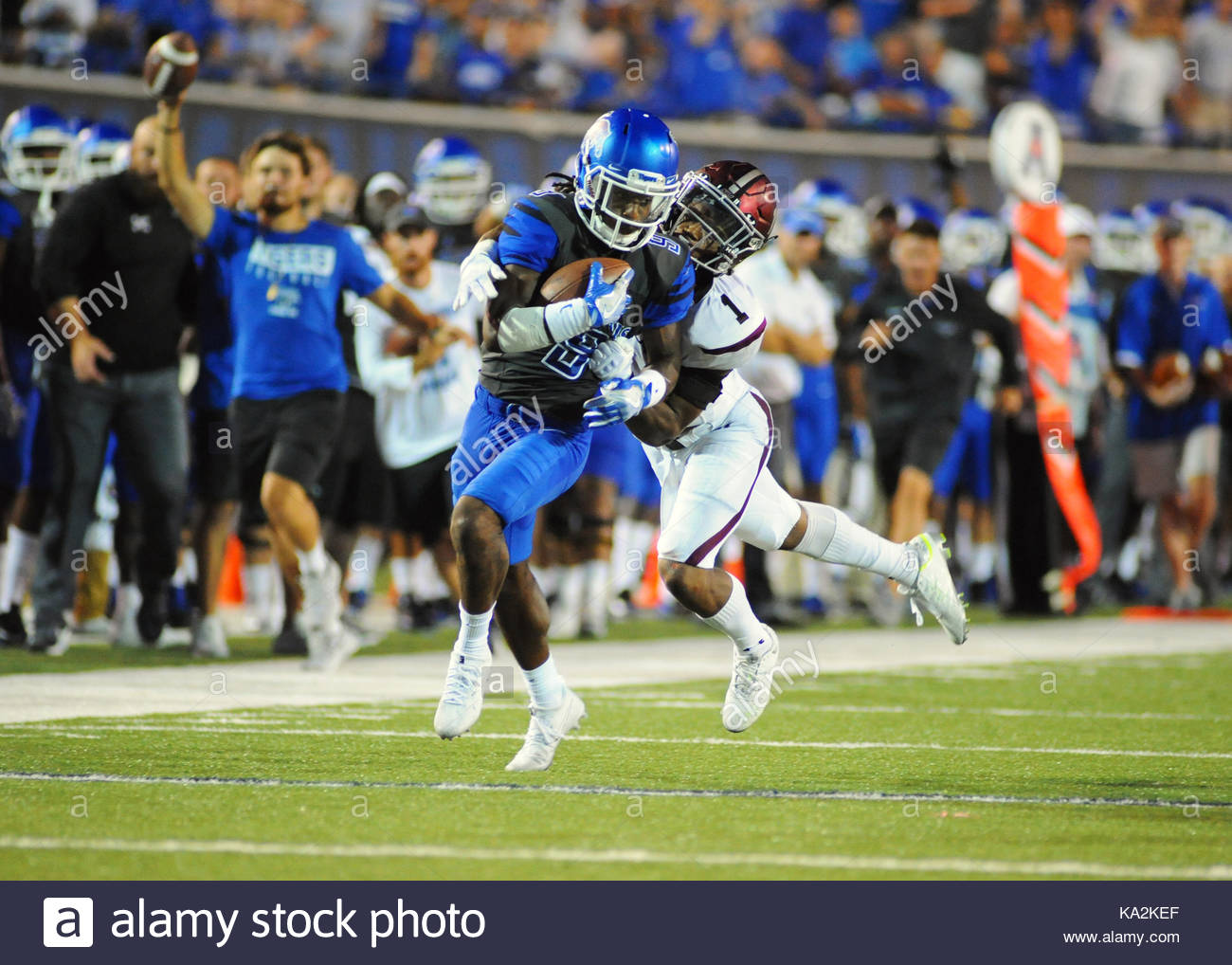 Streak For Tigers Stock Photos & Streak For Tigers Stock Images - Alamy