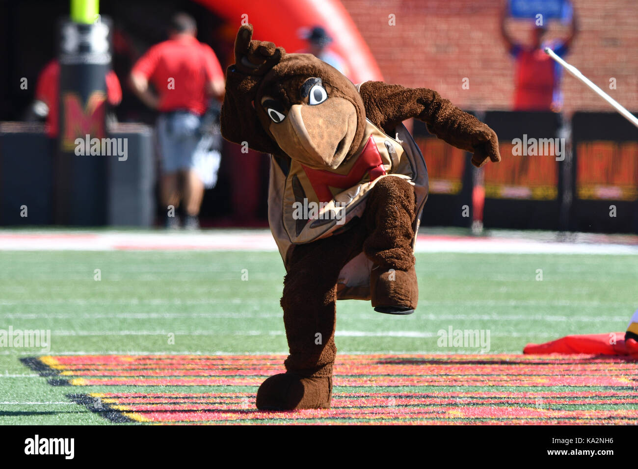 College Park, Maryland, USA. 23rd Sep, 2017. Maryland Terrapins mascot ...