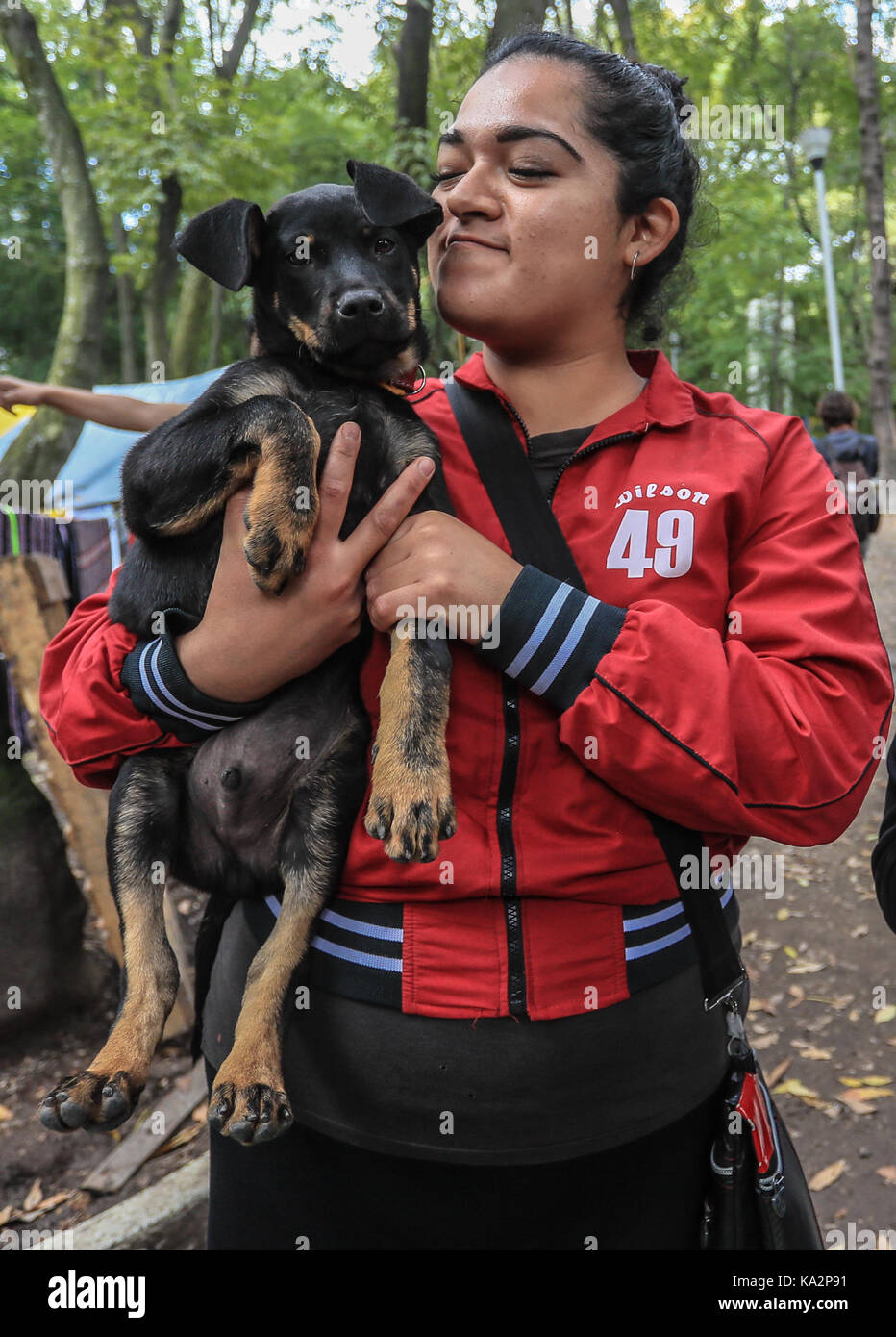 This morning in Mexico Park began with the adoption of stray dogs due ...