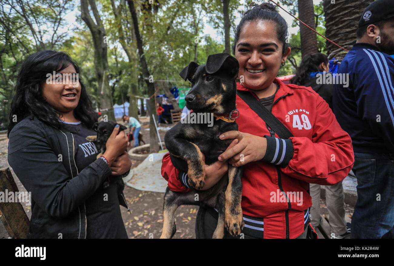 This morning in Mexico Park began with the adoption of stray dogs due ...