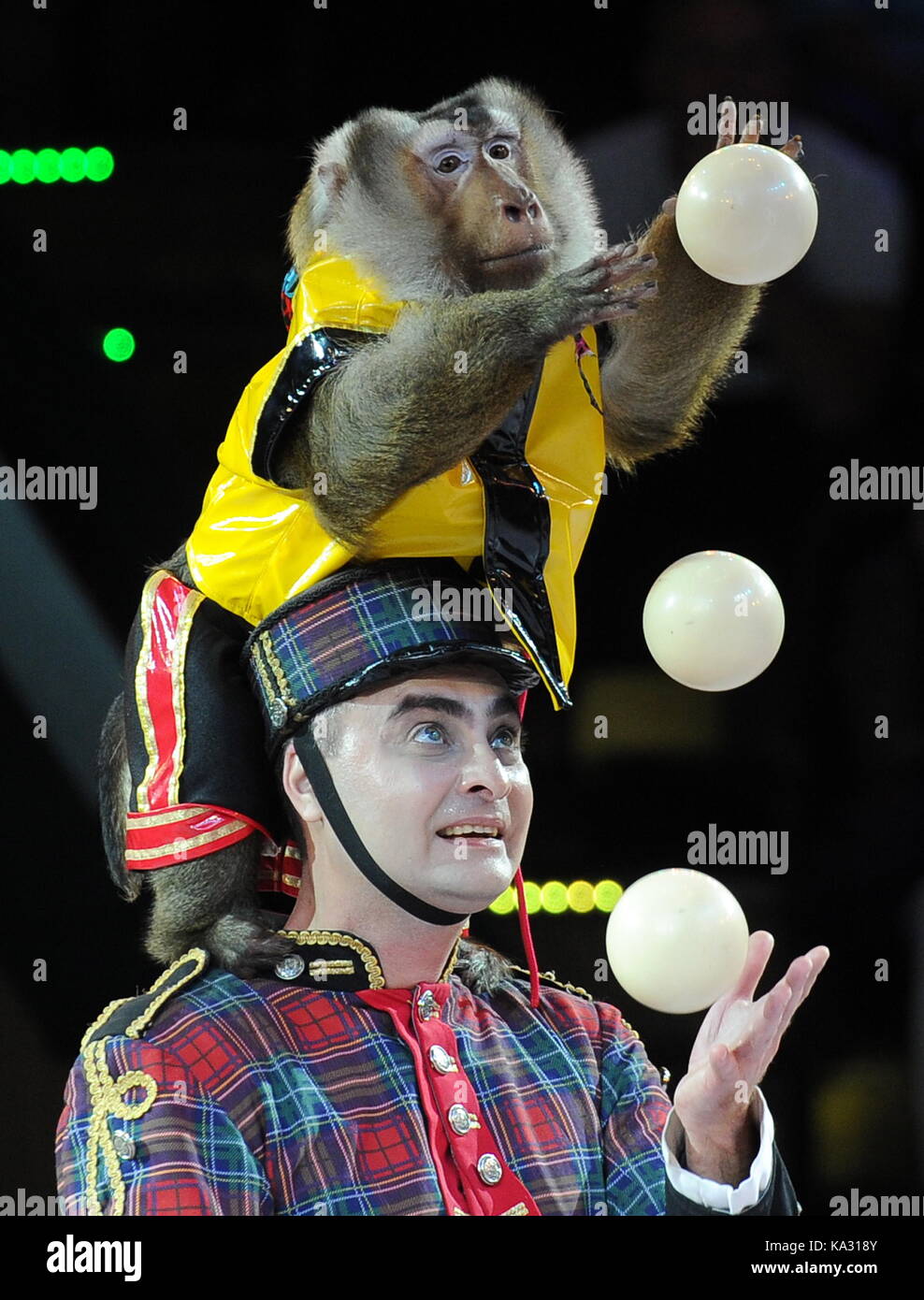 Monkey Balls High Resolution Stock Photography and Images - Alamy