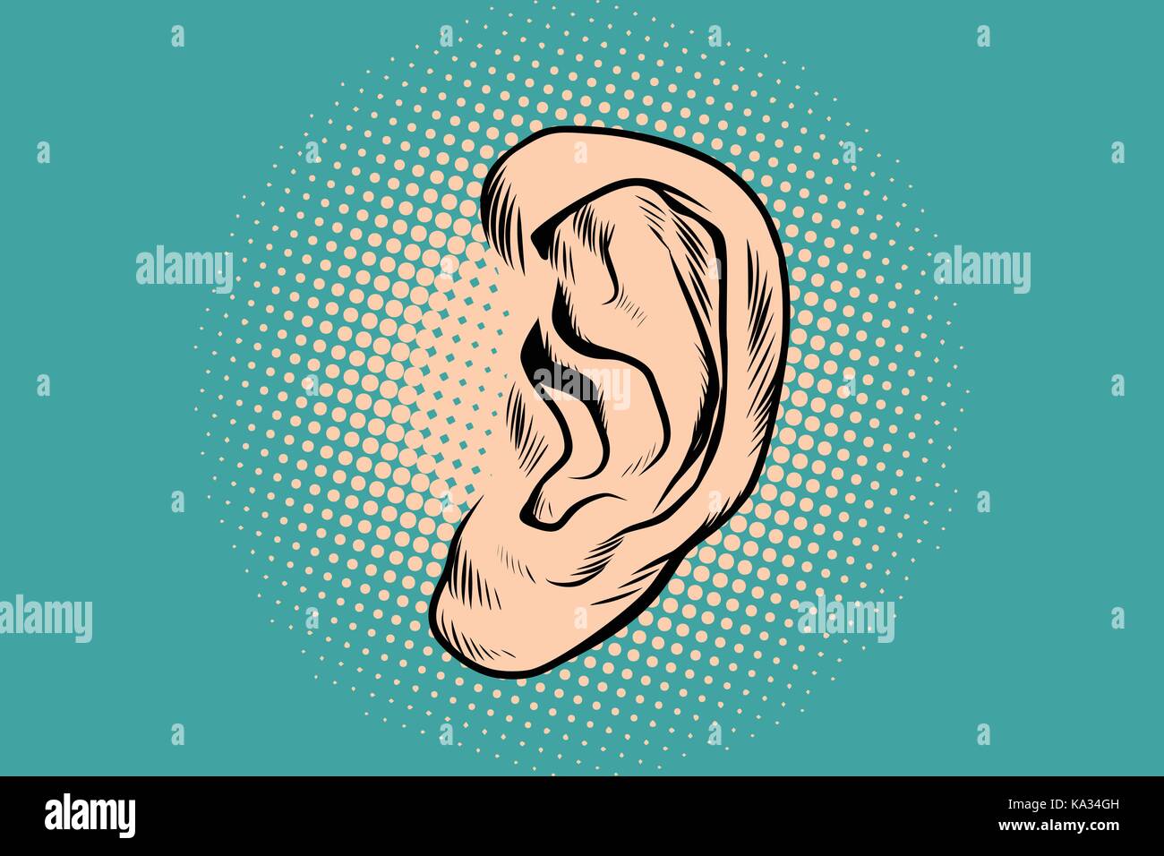 Human anatomy illustration vector Stock Vector Images - Alamy