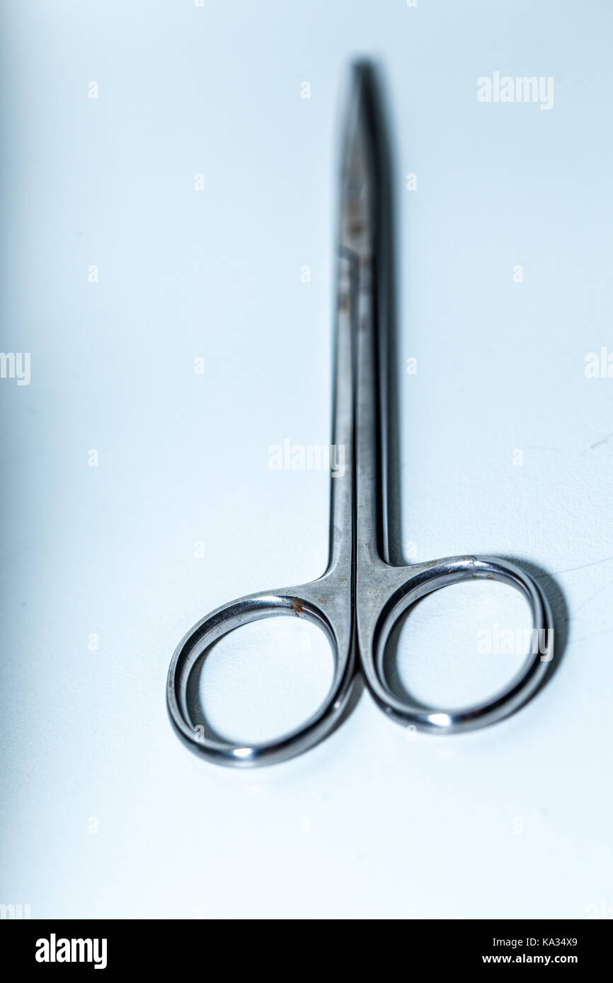 A pair of straight dissecting Scissors on a white table Stock Photo - Alamy