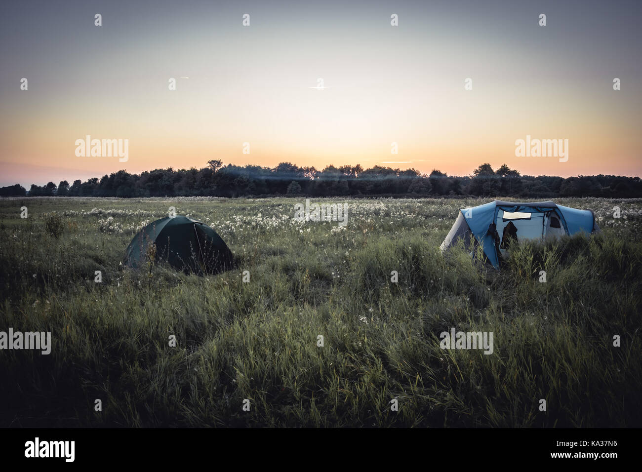 camping site with camping tents on summer rural field and sunset sky ...