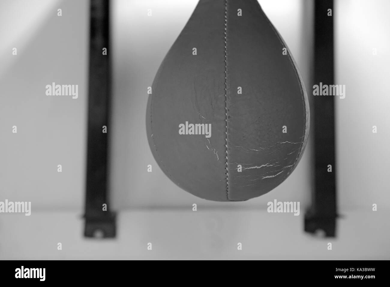 Speedbag Punching bag in gym used for boxing Stock Photo - Alamy