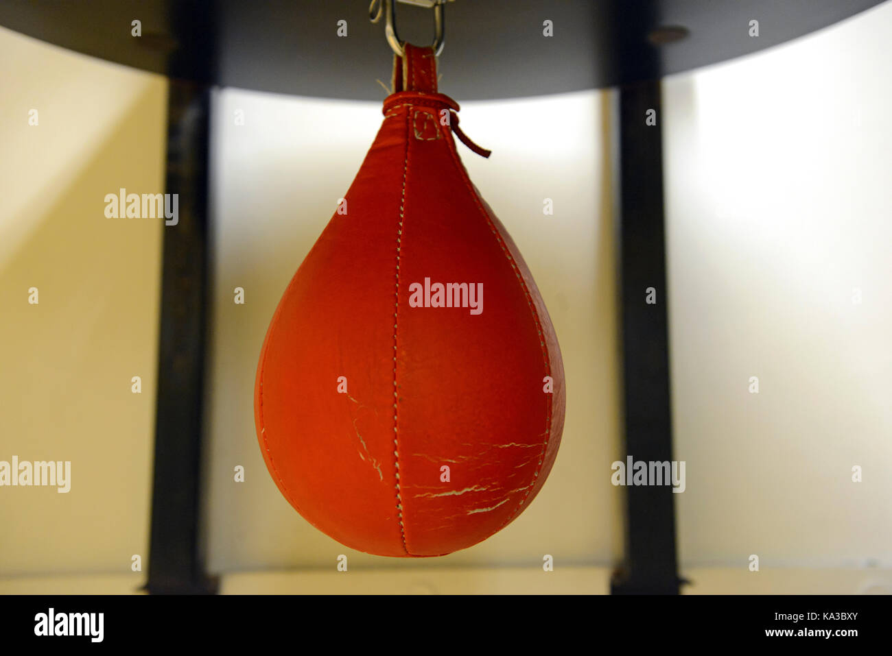 Speedbag Punching bag in gym used for boxing Stock Photo - Alamy