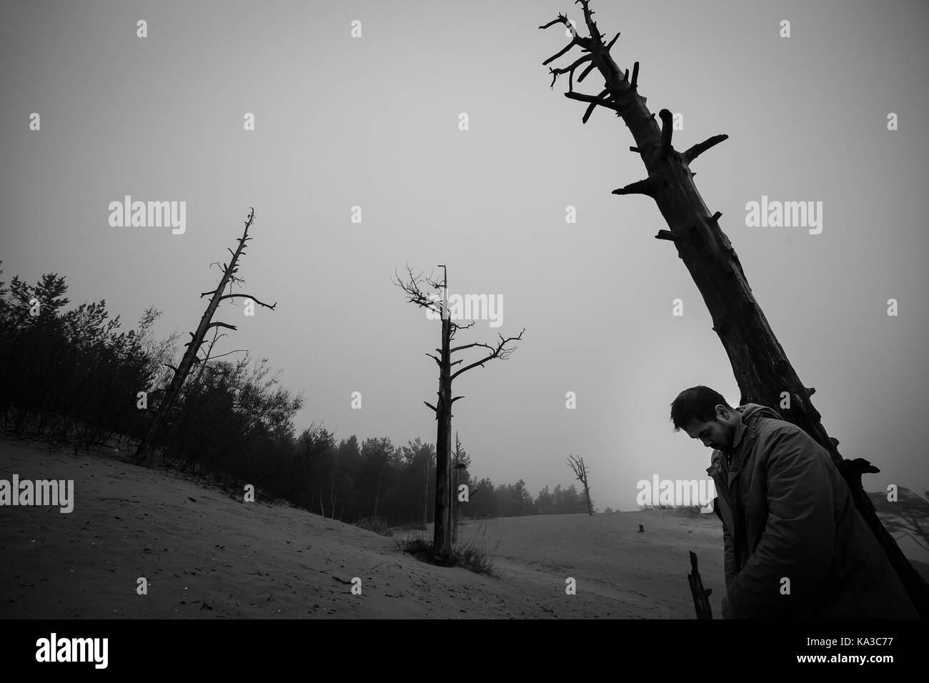 Man with the hung head has leaned the elbows on a dead tree Stock Photo ...