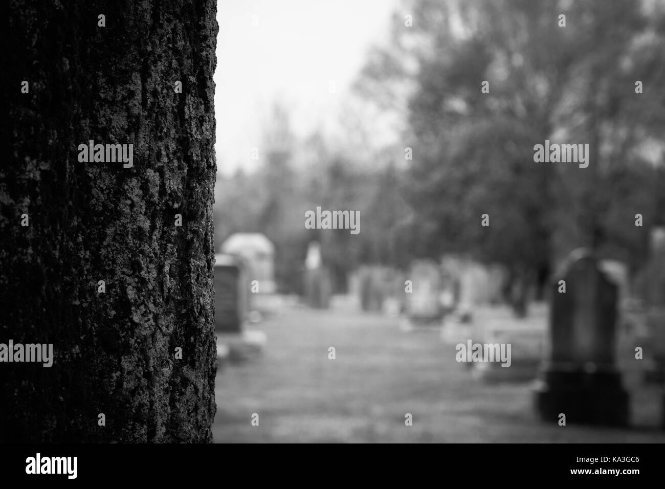 Headstones mark graves at this historic cemetery in Middlesex County ...