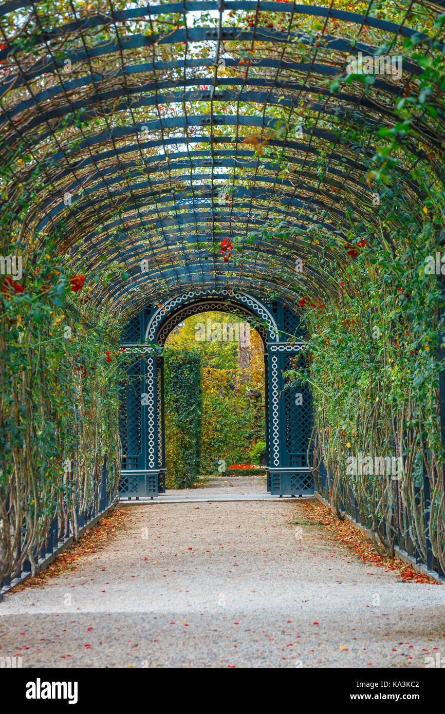 Trellis walk walkway path hi-res stock photography and images - Alamy