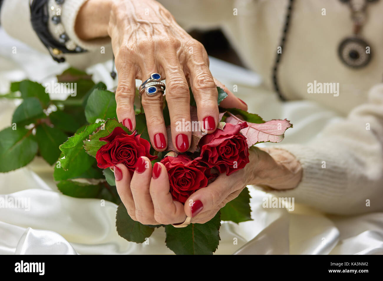 Old female hands holding roses. Senior woman hands with red nails and ...