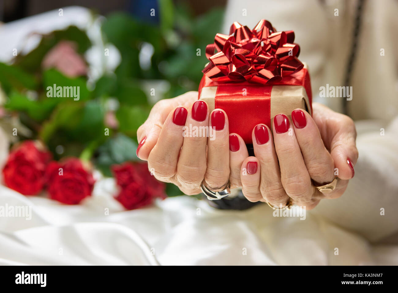 Gift box in manicured female hands. Senior woman hands with perfect red ...