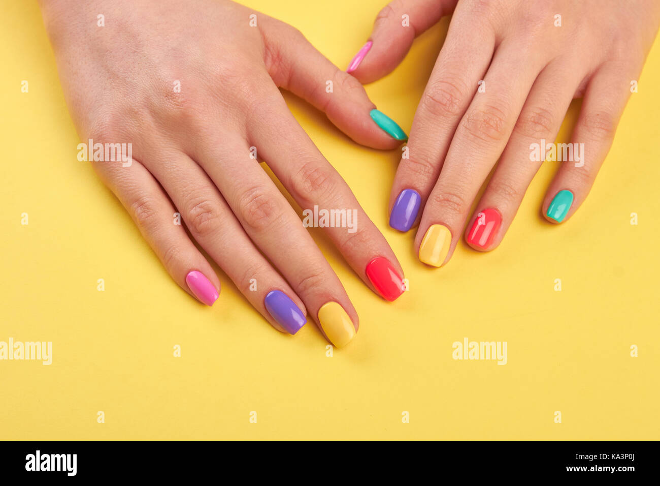 Groomed and well treated hi-res stock photography and images - Alamy