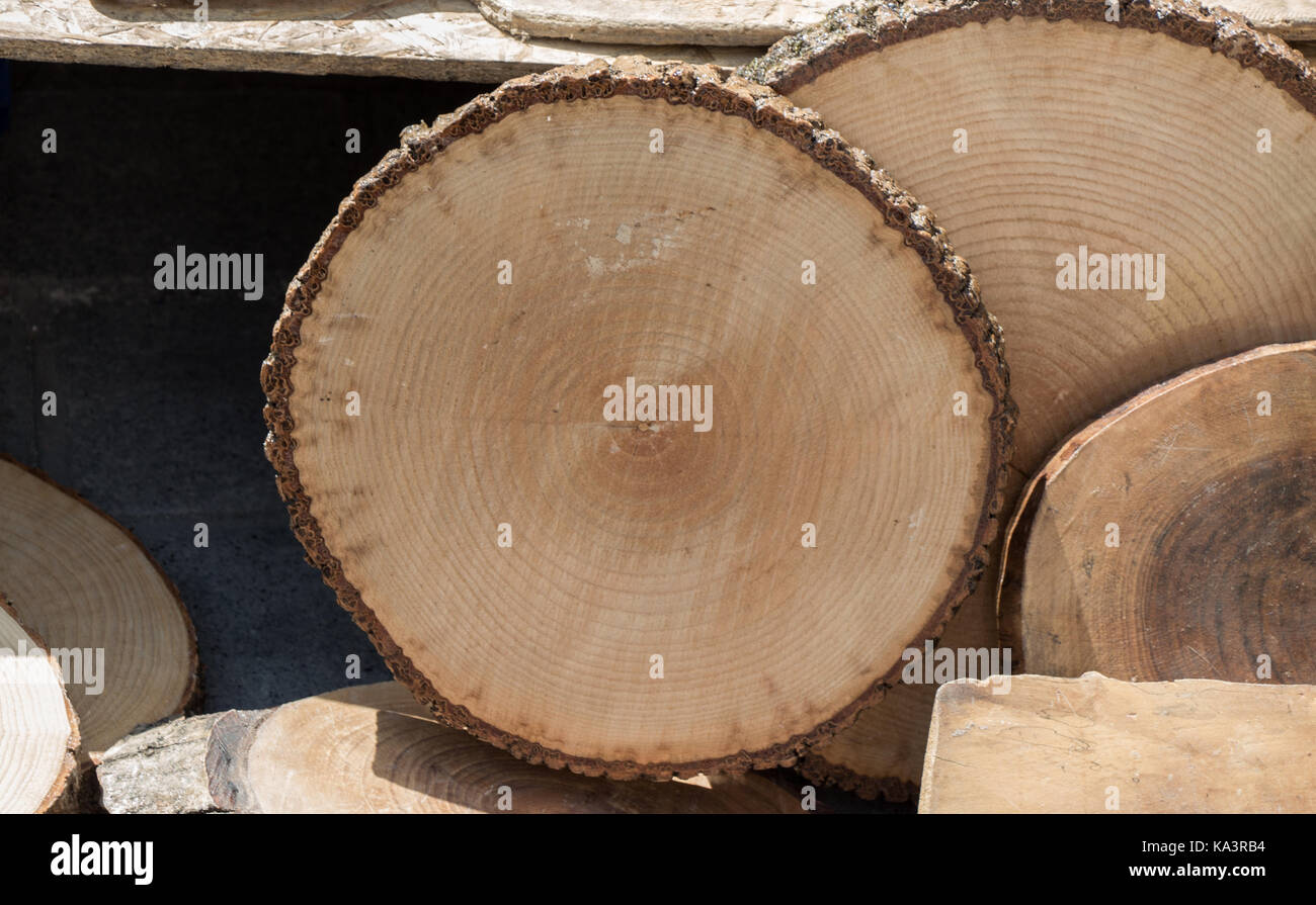 small piece of cut wood logs used for wood texture background Stock ...
