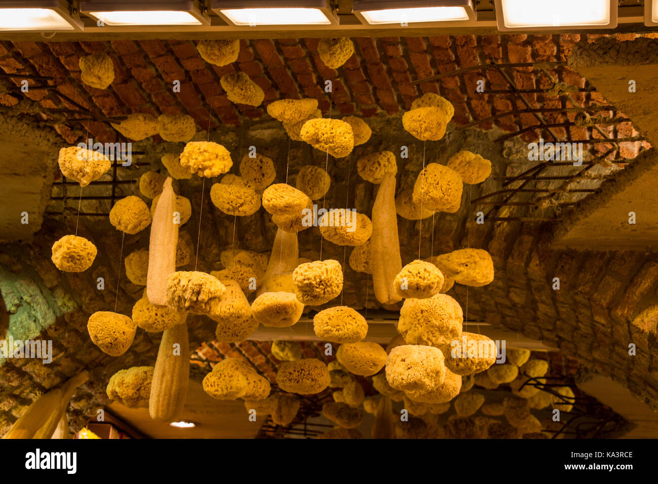 Collection of sea sponges hanging on a market stall Stock Photo - Alamy