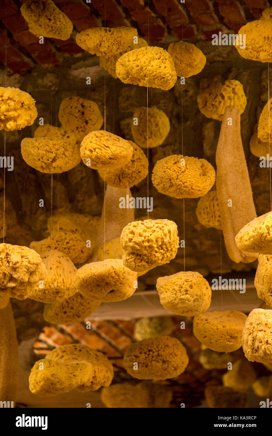 Collection of sea sponges hanging on a market stall Stock Photo - Alamy