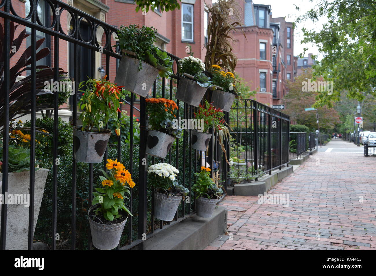 Back Bay door fronts decorated for Autumn in Boston, Massachusetts ...