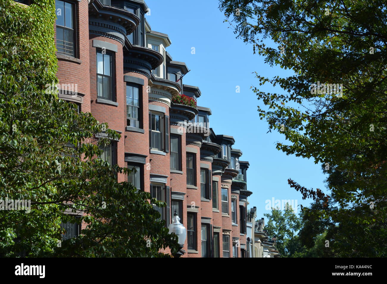 Brick Federal and Victorian Bow fronted Row Houses and historic hotels ...
