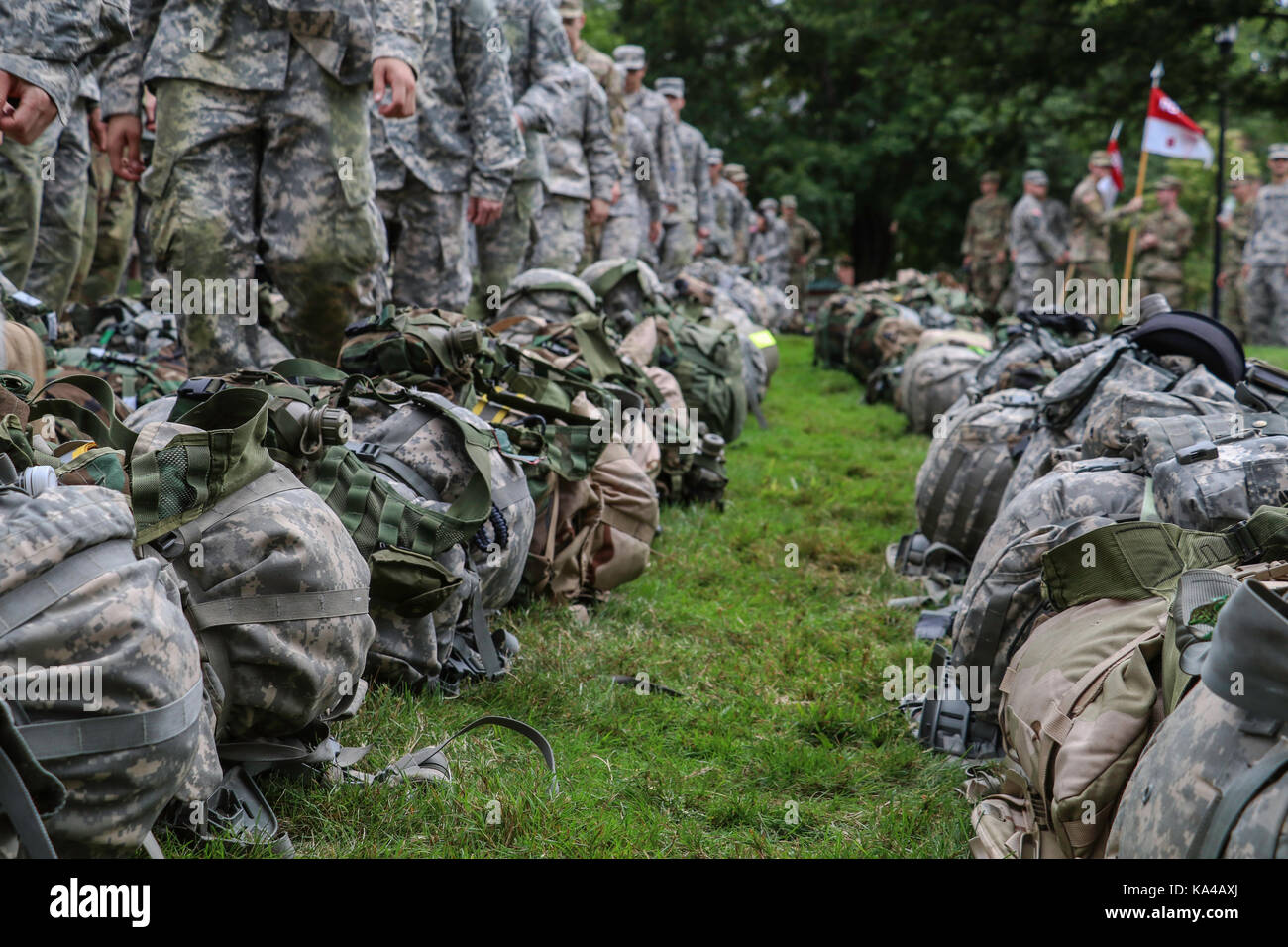 Soldier Camouflage Grass Stock Photos & Soldier Camouflage Grass Stock ...