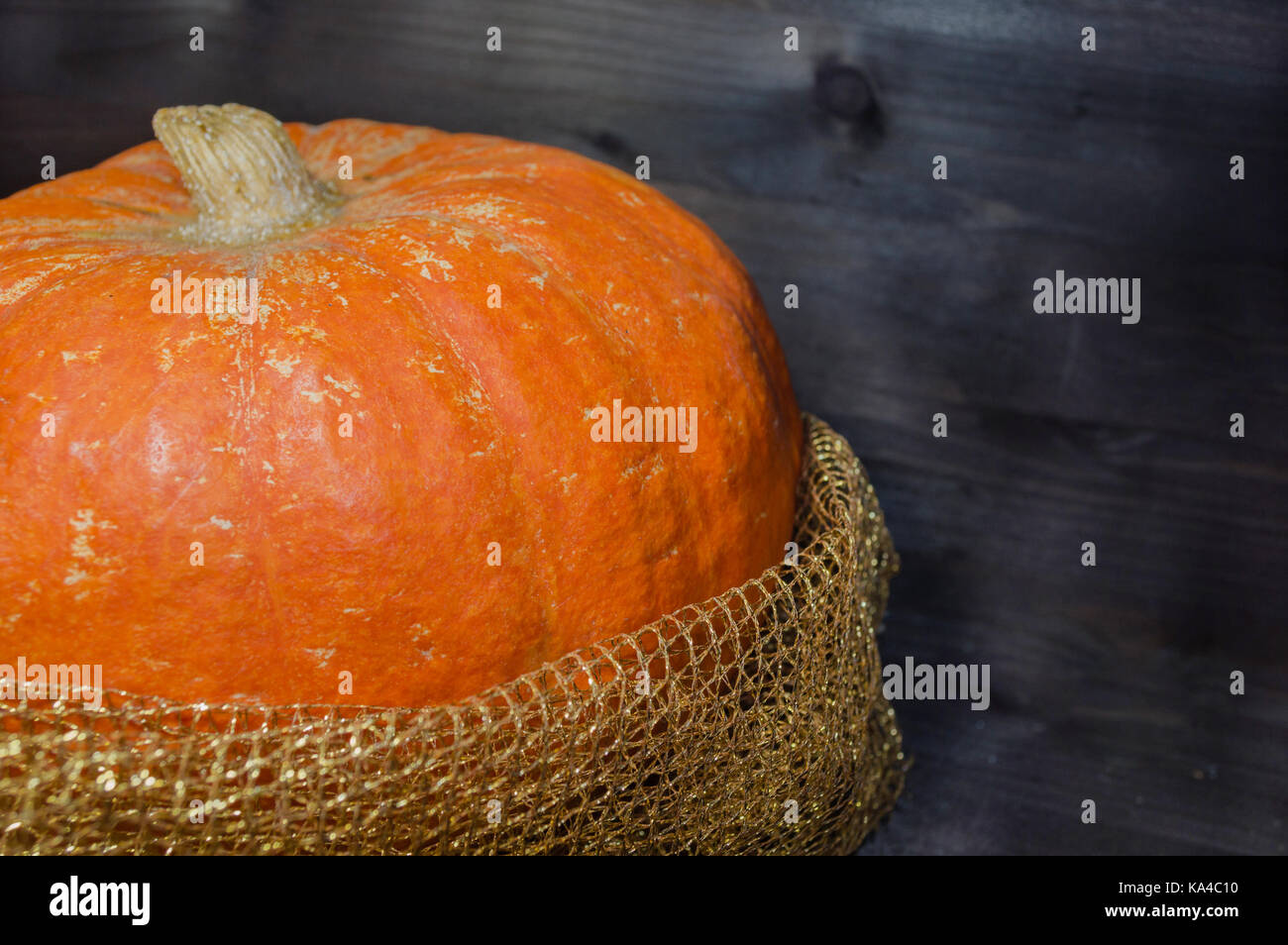 pumpkin in golden net Stock Photo - Alamy