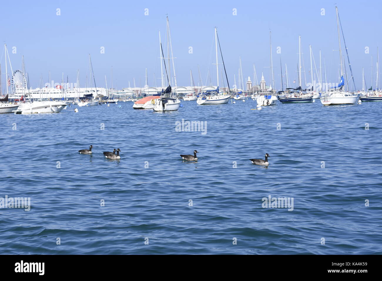 Wgn High Resolution Stock Photography and Images - Alamy