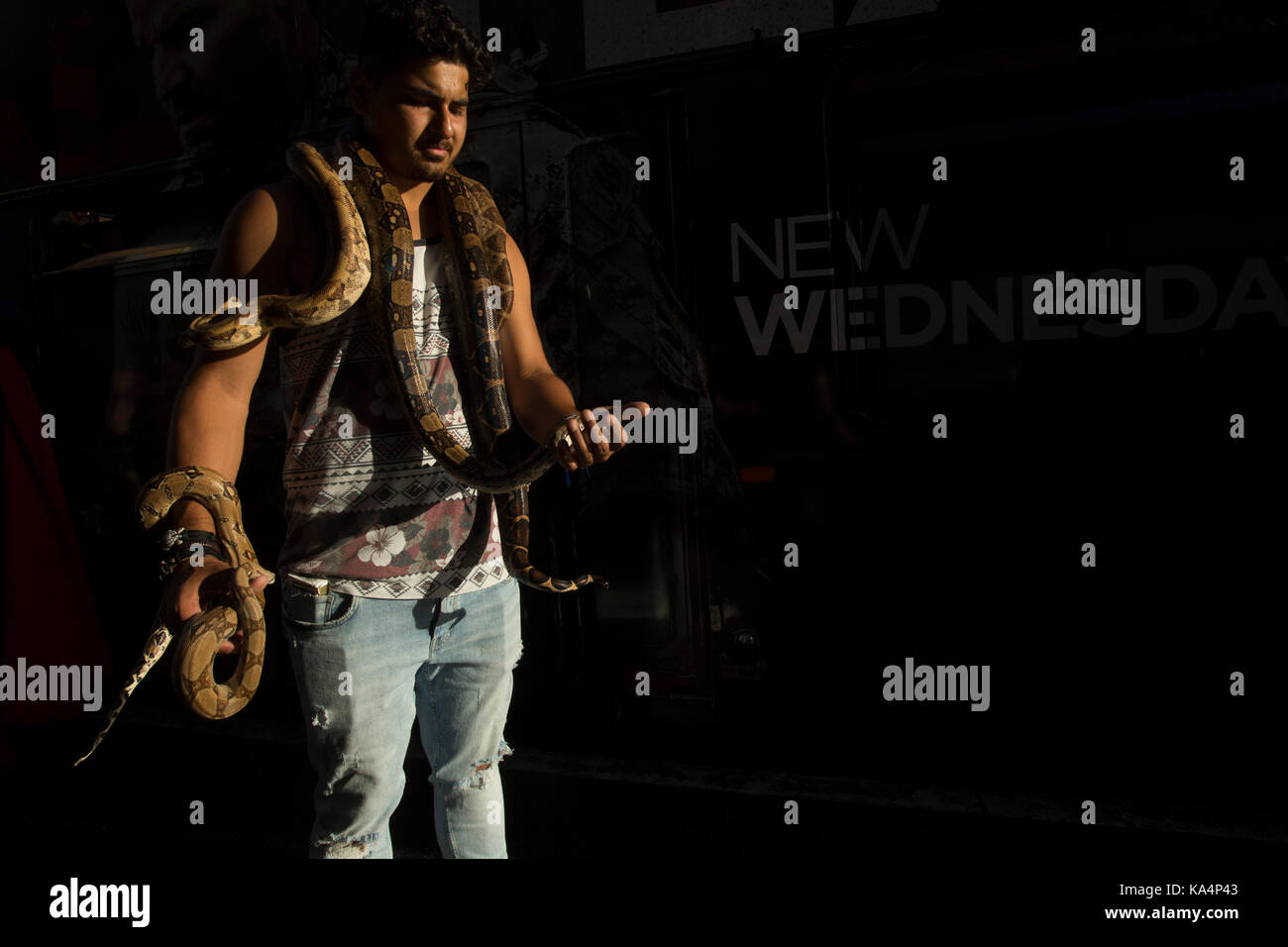 Snake handler, Hollywood Boulevard, Hollywood, Los Angeles, California ...