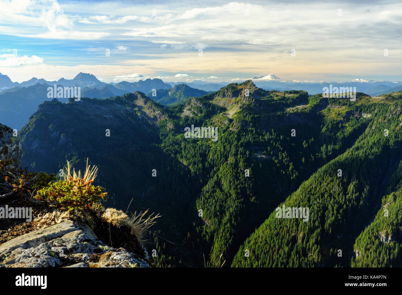 The view north to Mt. Baker from the summit of Dickerman Mountain in ...