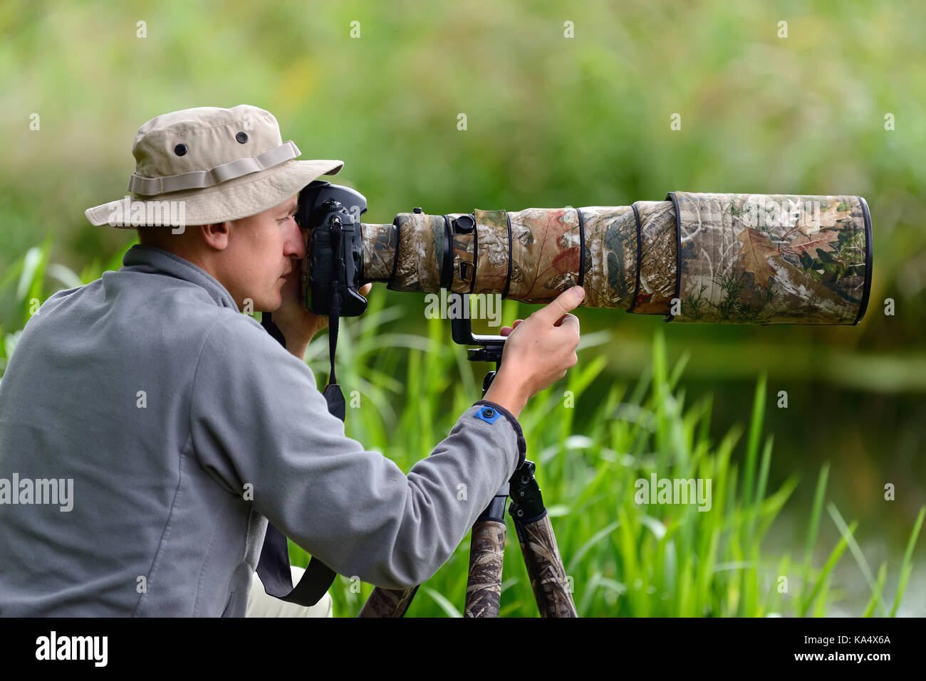 Professional wildlife photographer outdoor Stock Photo - Alamy